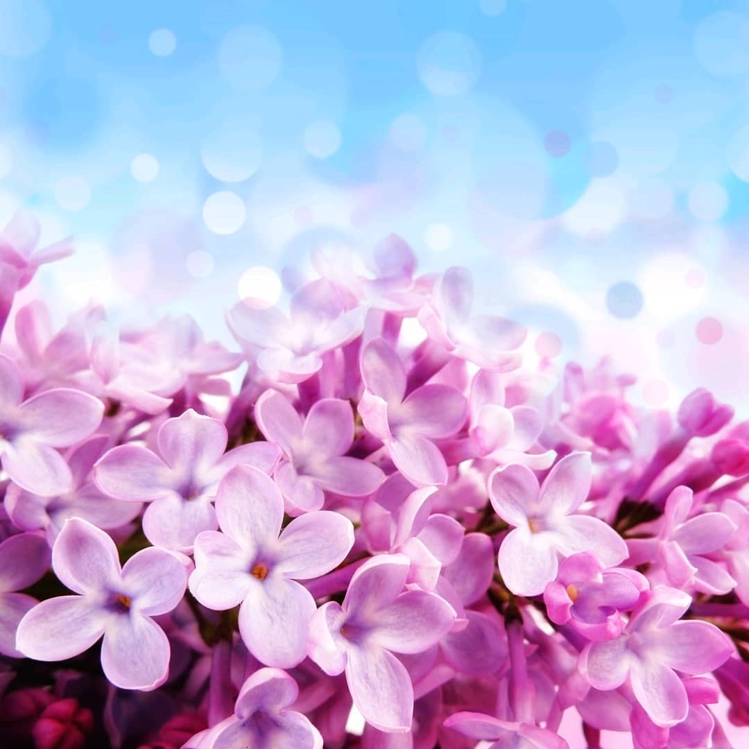 Instagram・・・今すべてに感謝を！ | 運命の輪を回すスピリチュアルコンサル TRiNiTY-iN（トリニティイン）公式ブログ